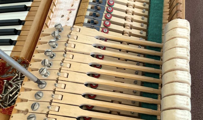 Überholung meines Bechstein B Flügels